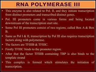Transcription in eukaryotes | PPTX