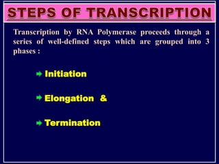 Transcription in eukaryotes | PPTX
