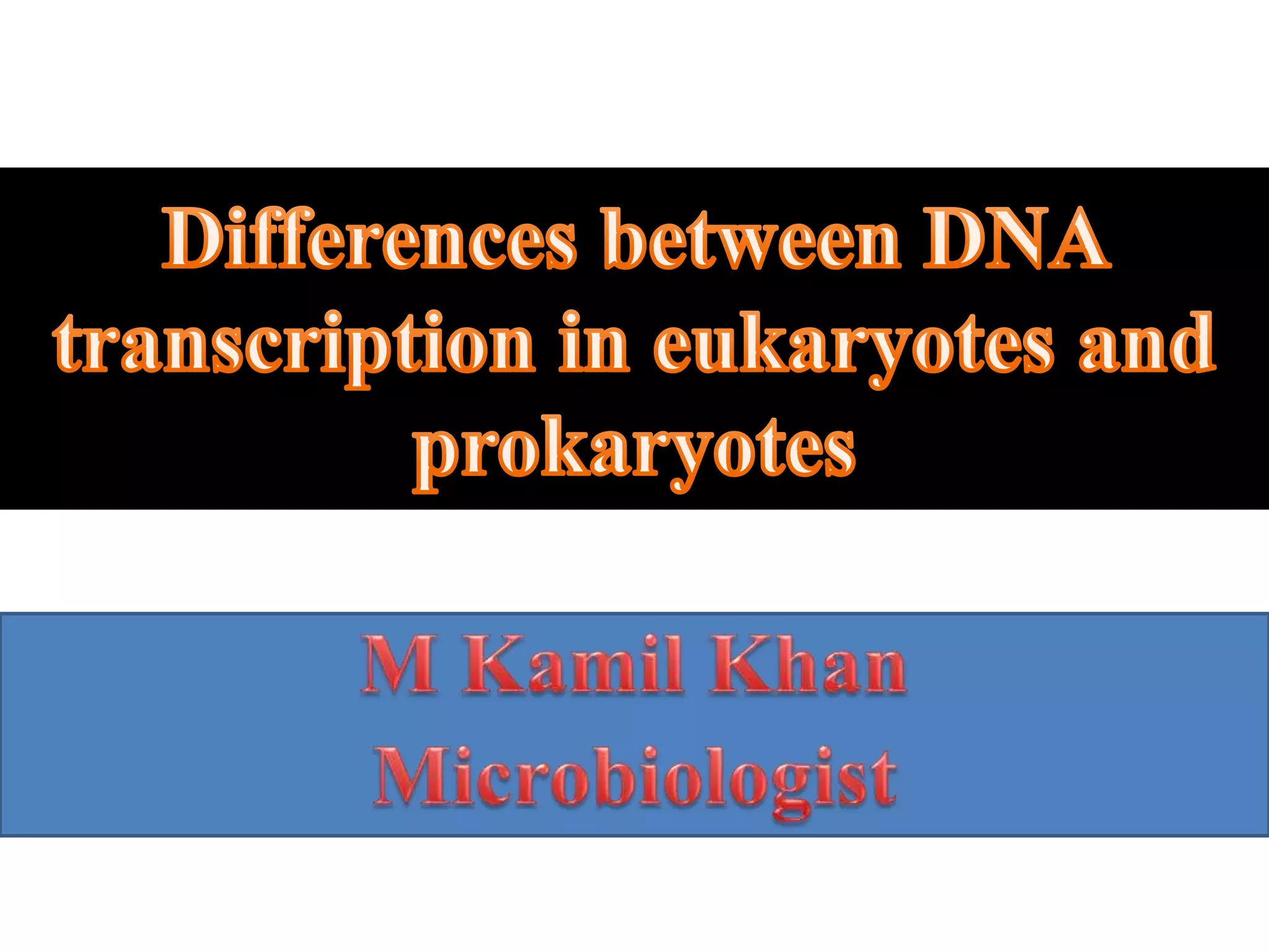 Difference Between Transcription In Eukaryotes And Prokaryotes Ppt