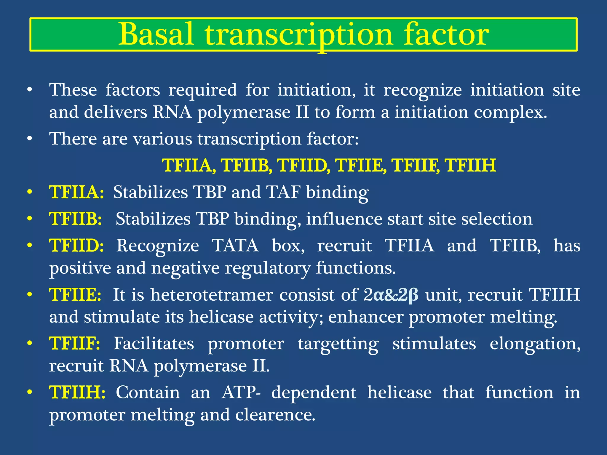 Transcription in eukaryotes | PPTX