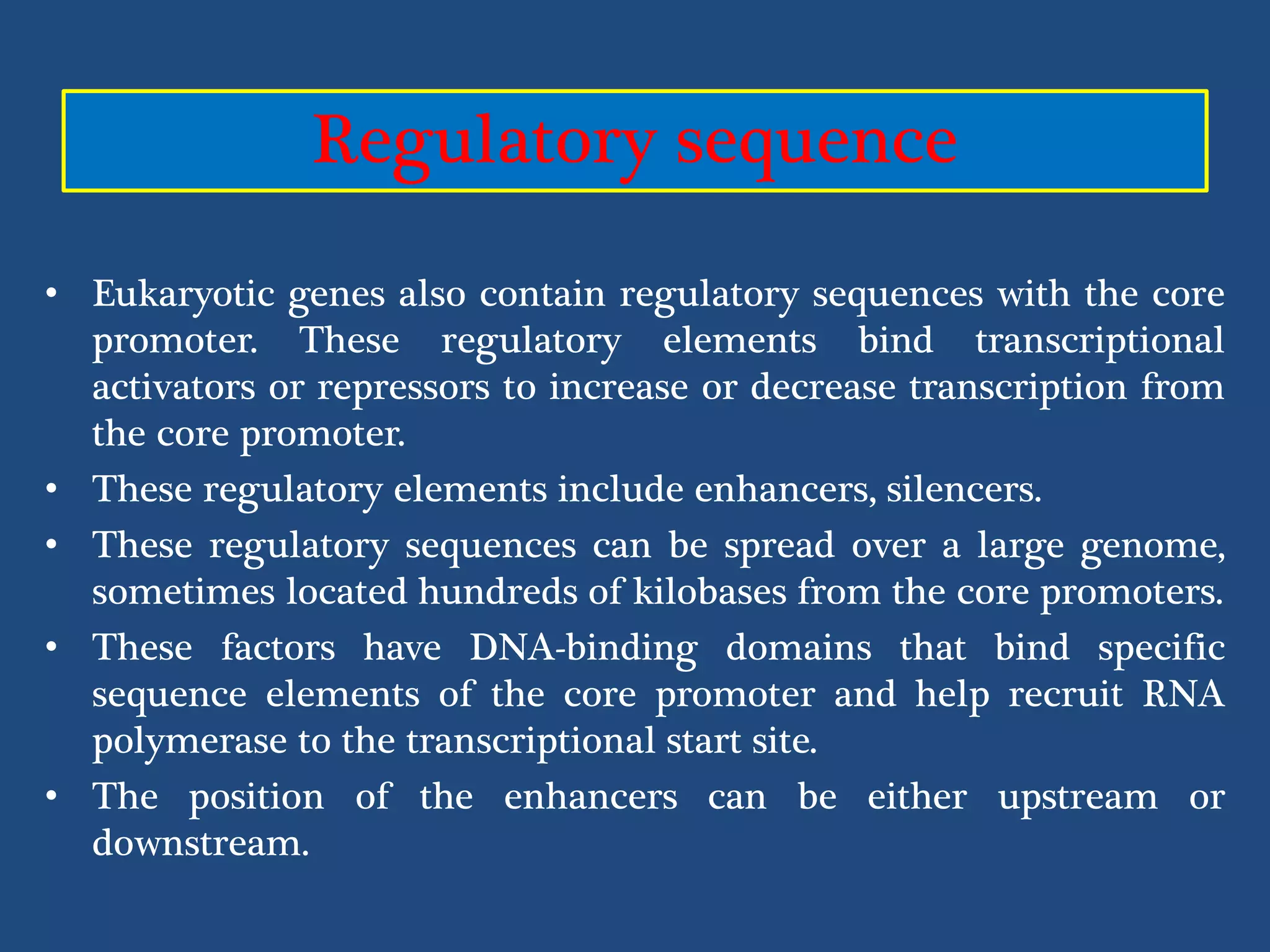 Transcription in eukaryotes | PPTX