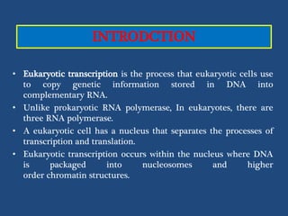Transcription in eukaryotes | PPTX