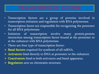 Transcription in eukaryotes | PPTX