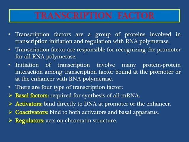 Transcription in eukaryotes | PPTX | Biological Sciences | Science