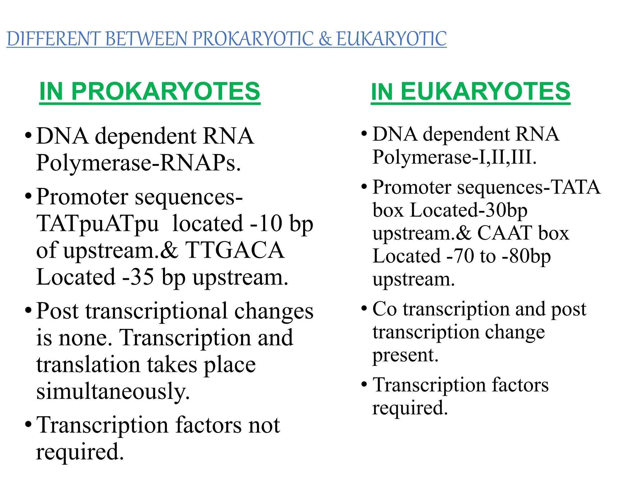 TRANSCRIPTION IN EUKARYOTES | PPT