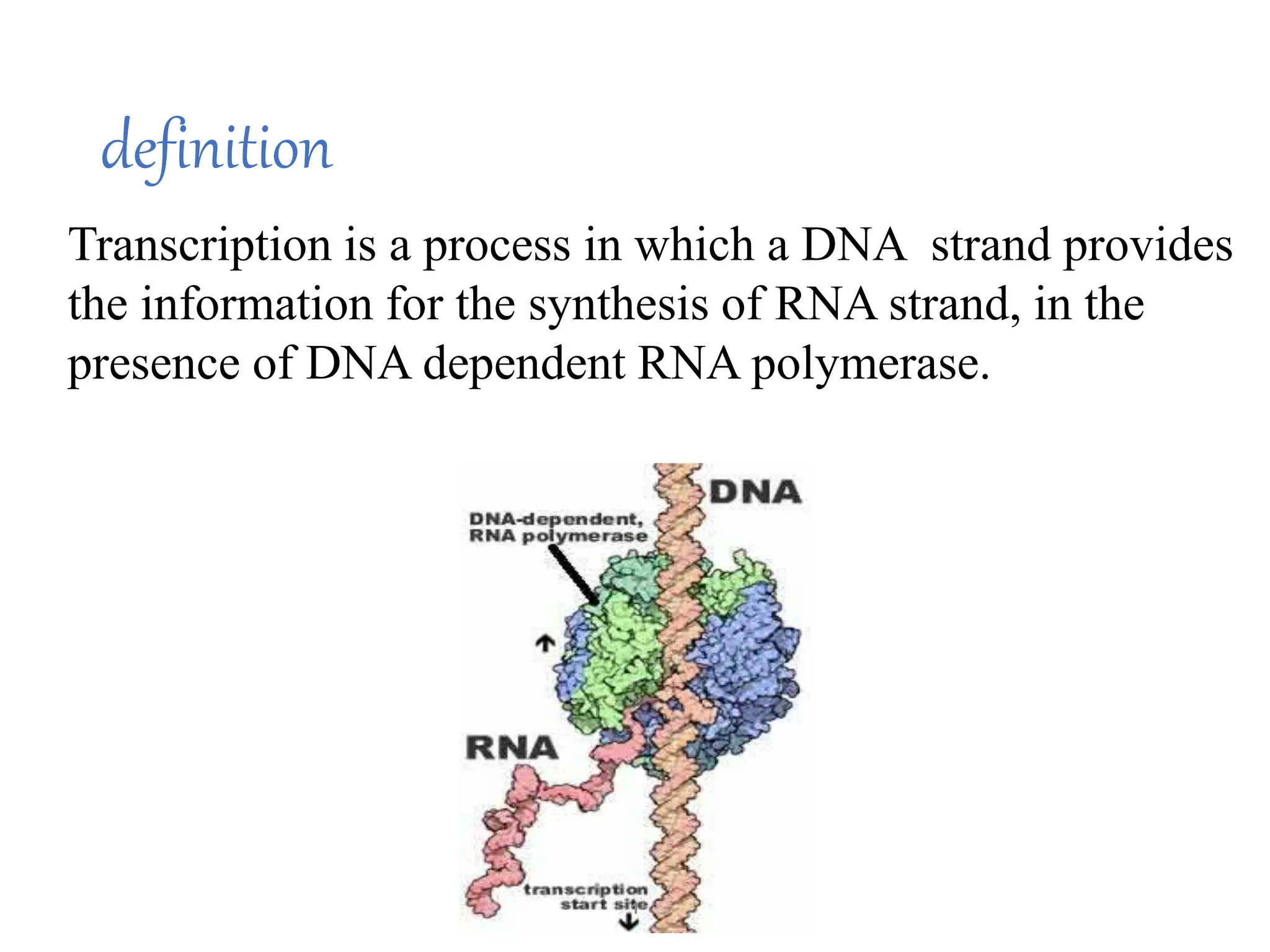 TRANSCRIPTION IN EUKARYOTES | PPT