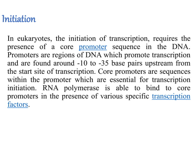 TRANSCRIPTION IN EUKARYOTES | PPT