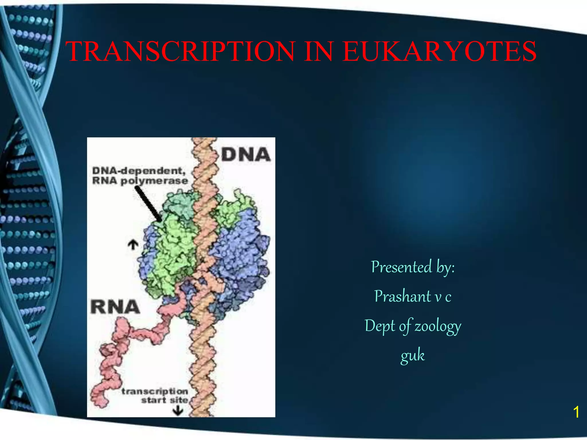 Transcription in Eukaryotes-Complete.ppt