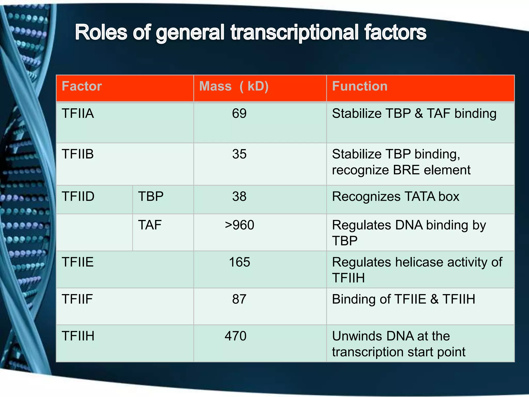 Transcription in Eukaryotes-Complete.ppt