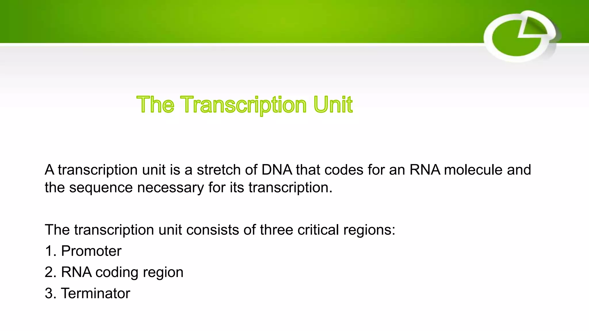 Transcription in prokaryotes:mRNA,rRNA and tRNA transcription. | PPTX