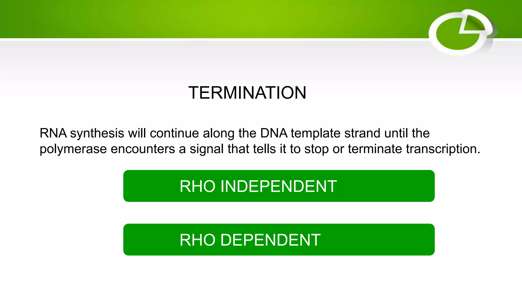 Transcription in prokaryotes:mRNA,rRNA and tRNA transcription. | PPT