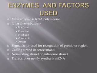 Transcription in prokaryotes | PPTX