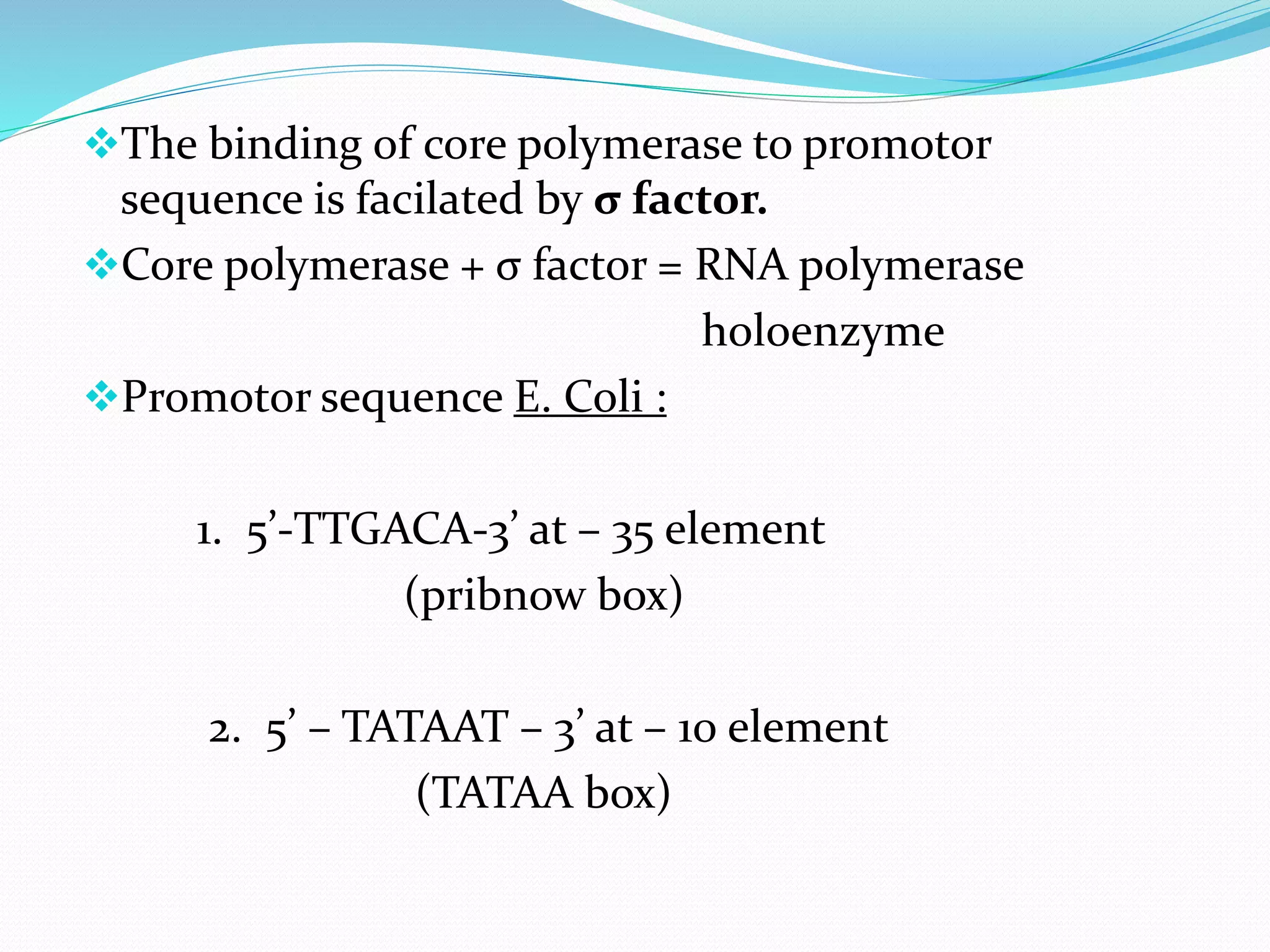 Transcription in prokaryotes | PPTX
