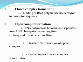 Transcription in prokaryotes | PPTX