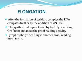 Transcription in prokaryotes | PPTX