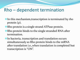 Transcription in prokaryotes | PPTX