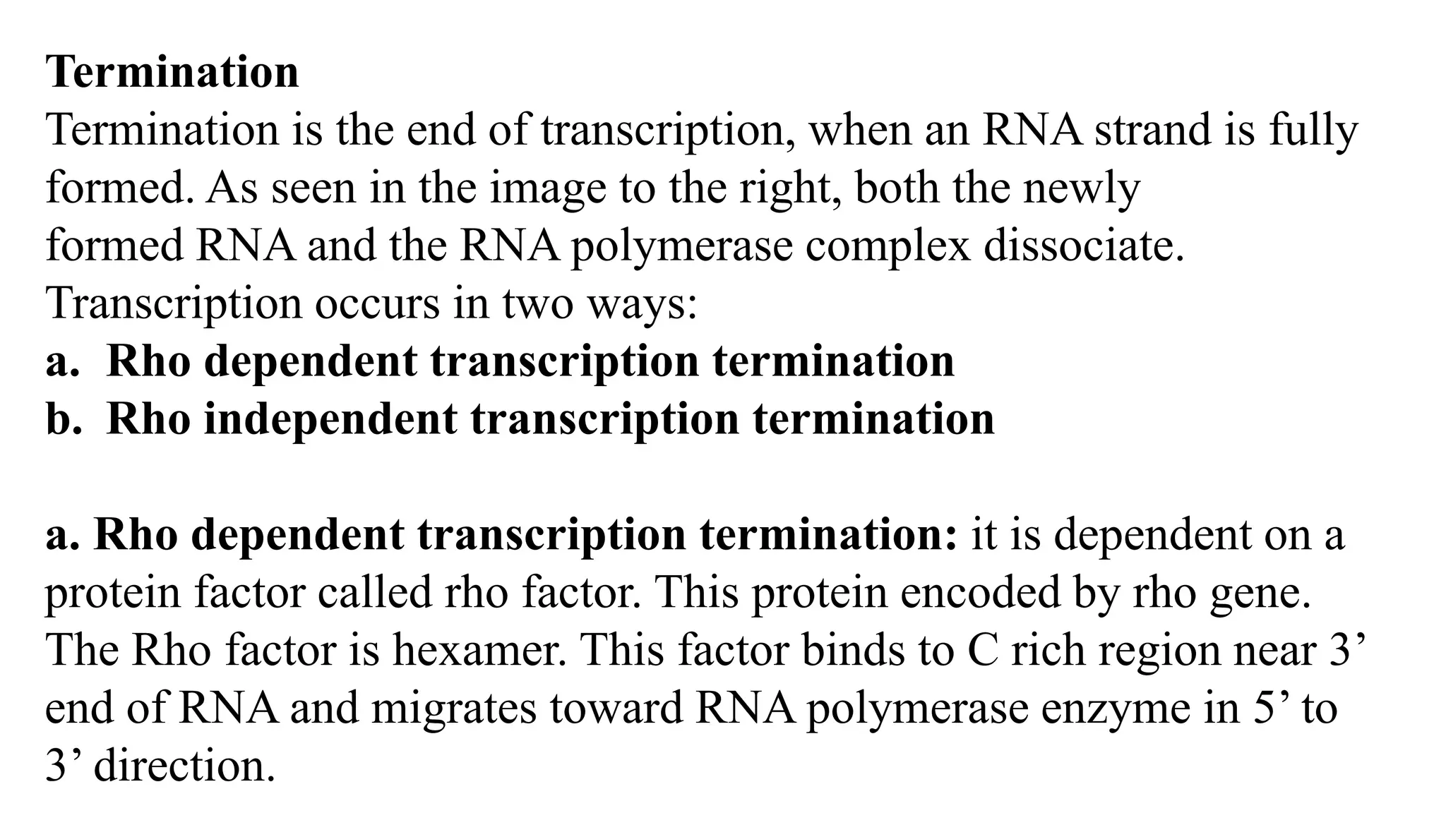 Transcription in prokaryotes | PPTX