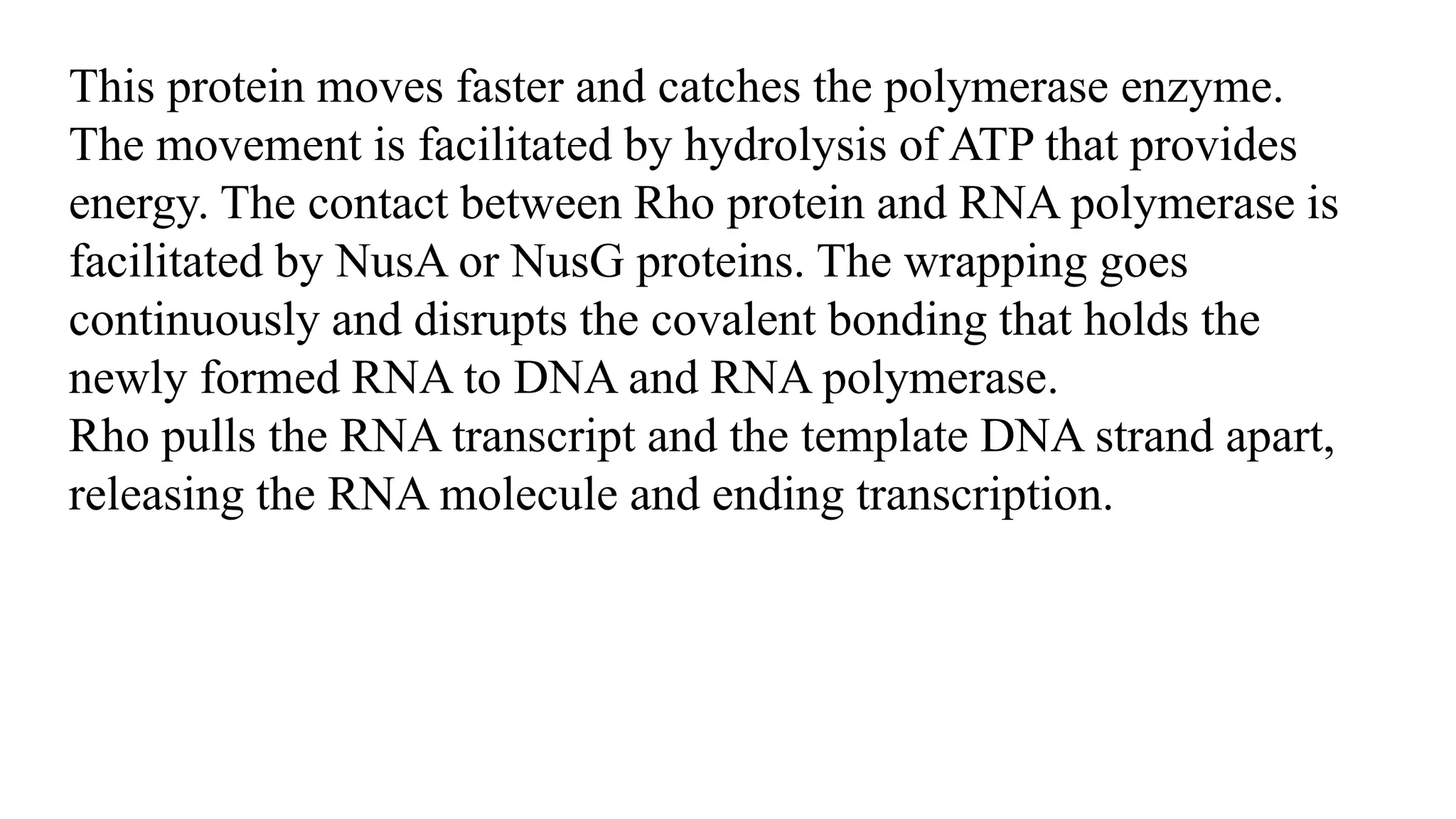 Transcription in prokaryotes | PPTX