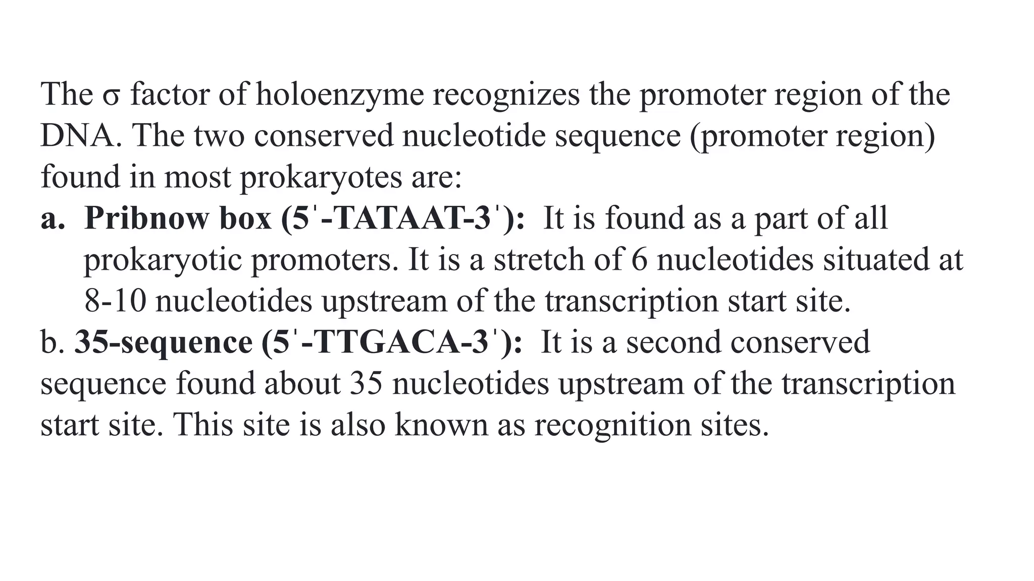 Transcription in prokaryotes | PPTX