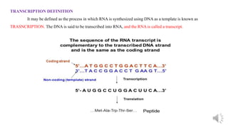 Transcription in prokaryotes | PPTX