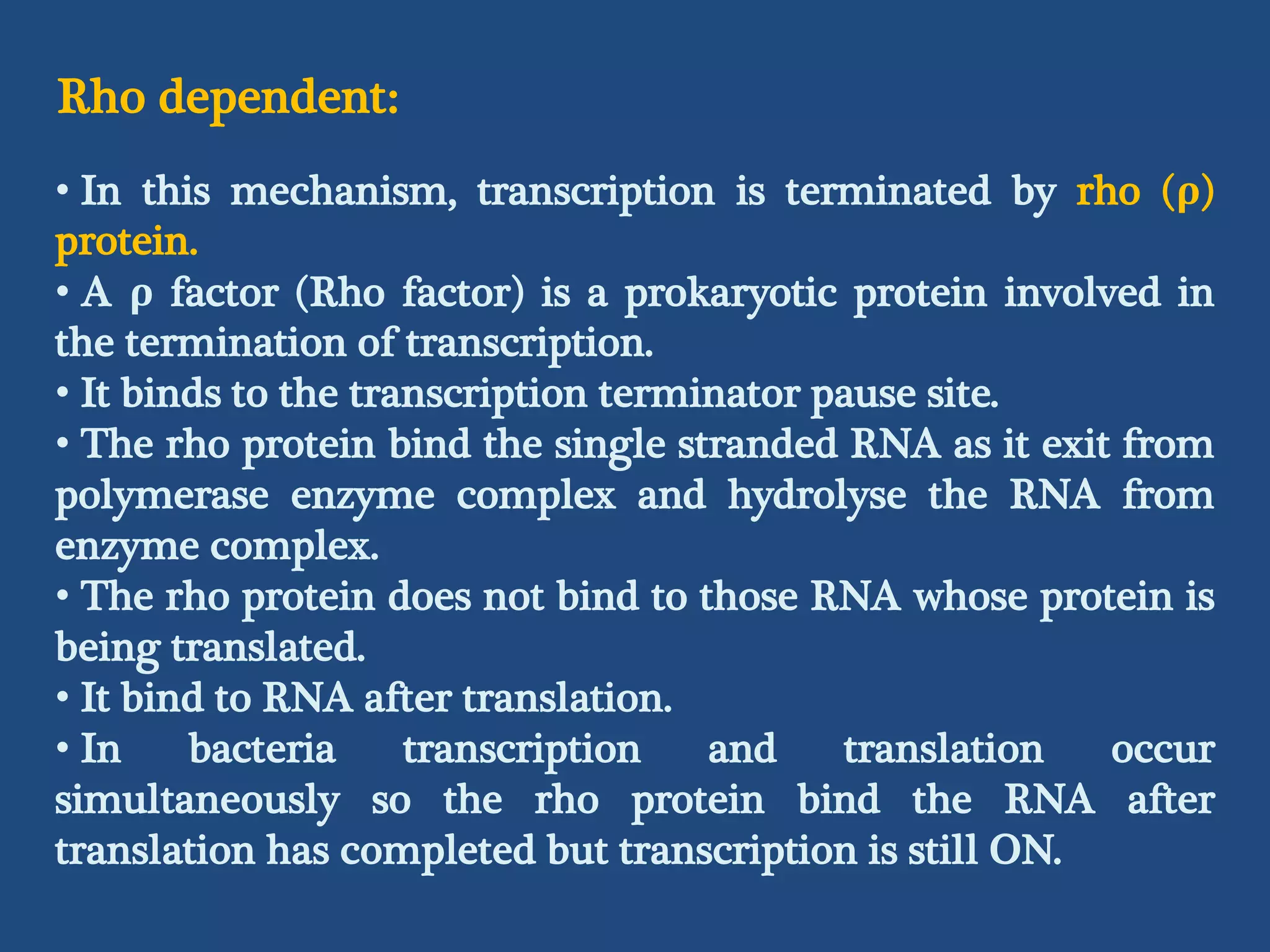 Transcription in prokaryotes | PPTX