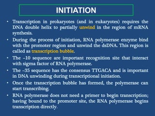 Transcription in prokaryotes | PPTX