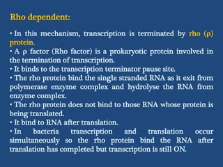 Transcription in prokaryotes | PPTX