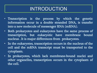 Transcription in prokaryotes | PPTX