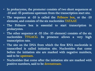 Transcription in prokaryotes | PPTX