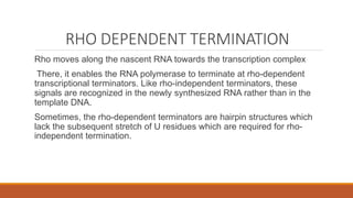 TRANSCRIPTION IN PROKARYOTES.pptx