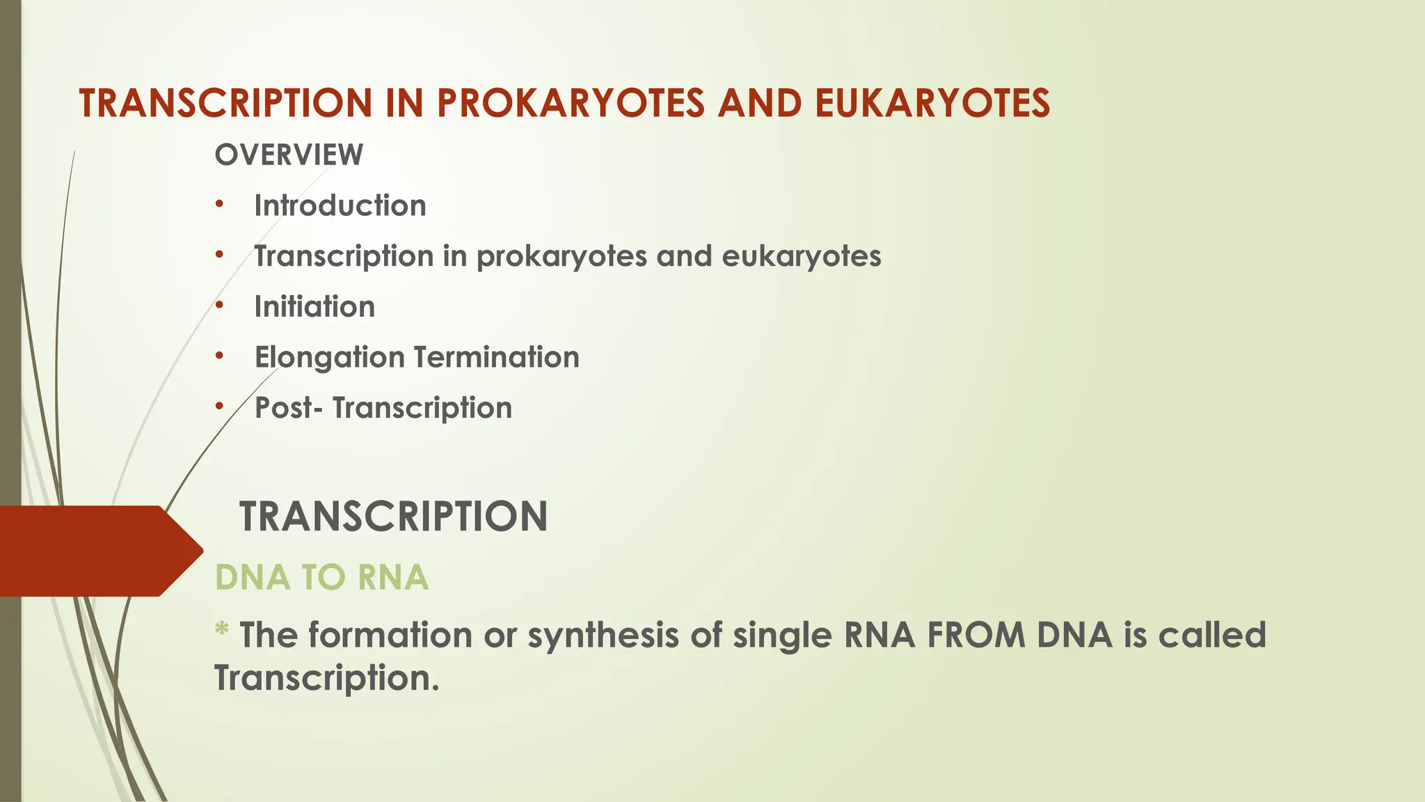TRANSCRIPTION IN PROKARYOTES AND EUKARYOTES | PPTX