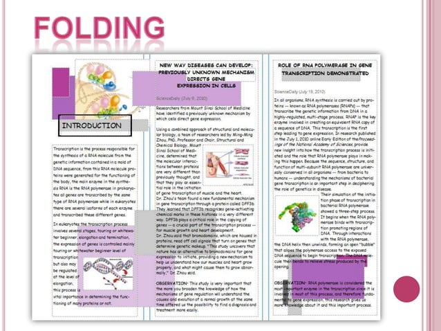 Transcription in prokaryotes and eukaryotes def | PPTX