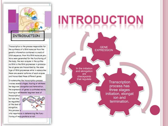 Transcription in prokaryotes and eukaryotes def | PPTX