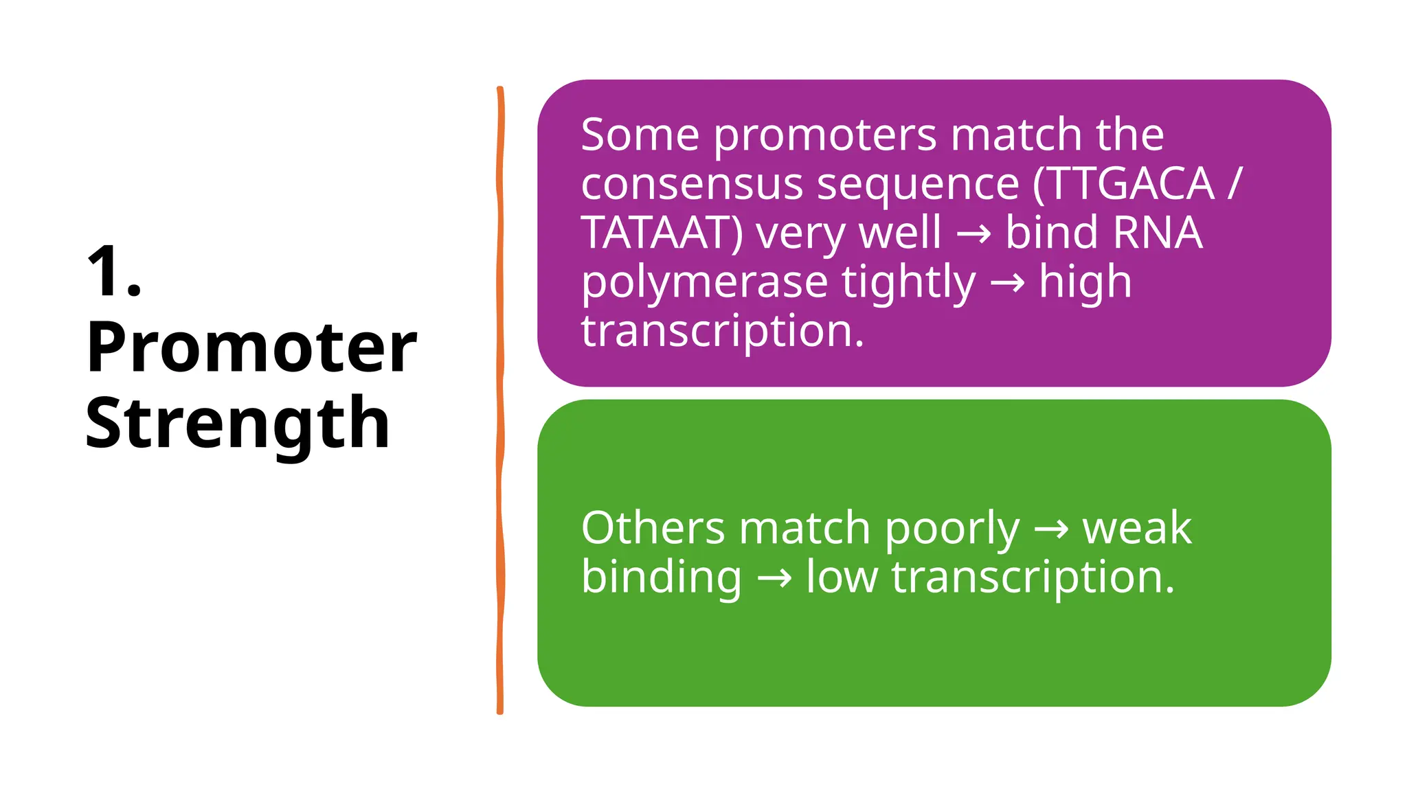 Transcription & its regulation in prokaryotes.pptx