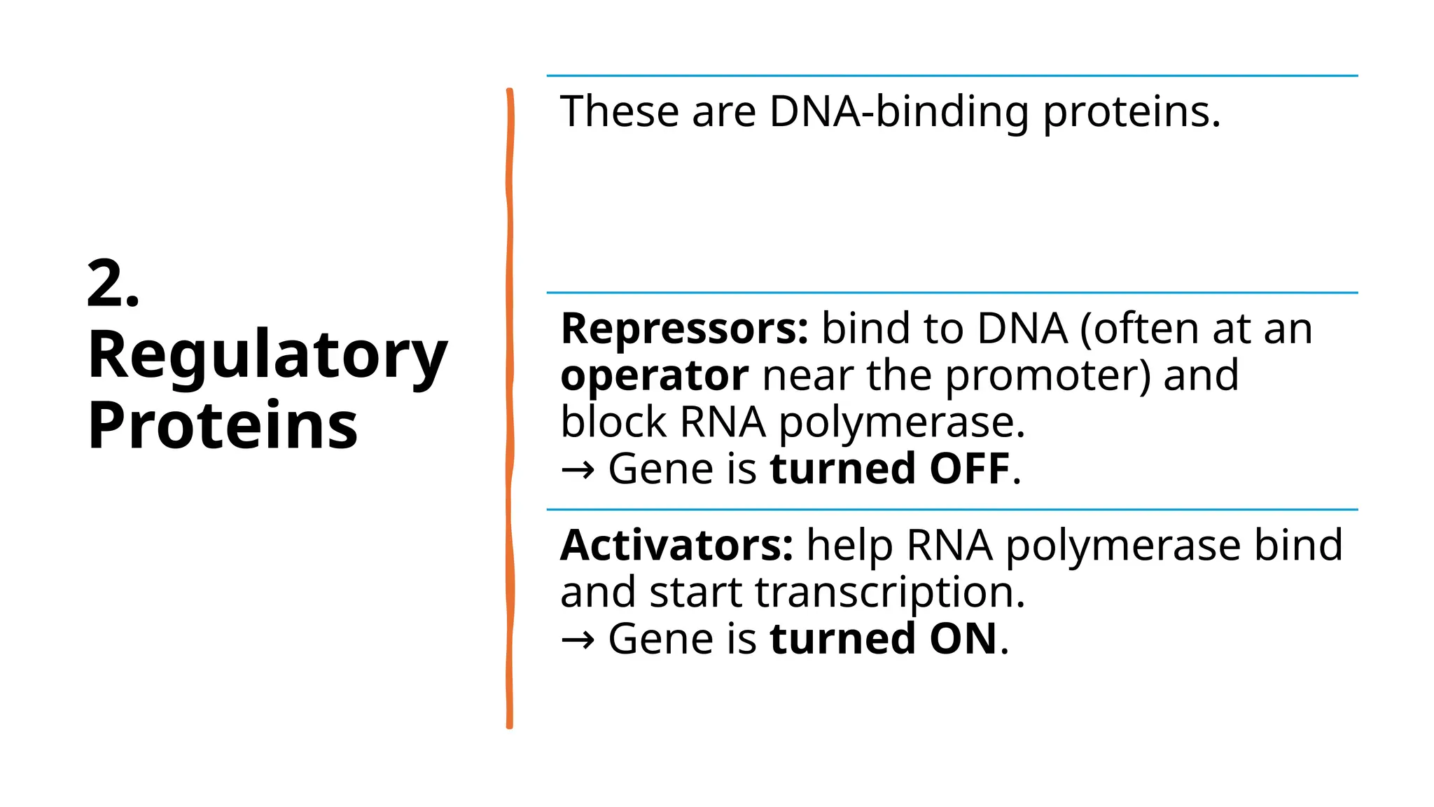Transcription & its regulation in prokaryotes.pptx