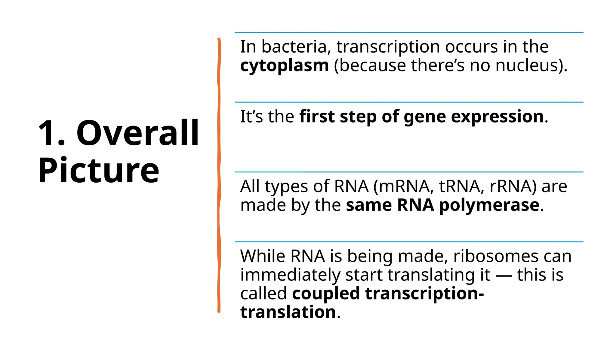 Transcription & its regulation in prokaryotes.pptx