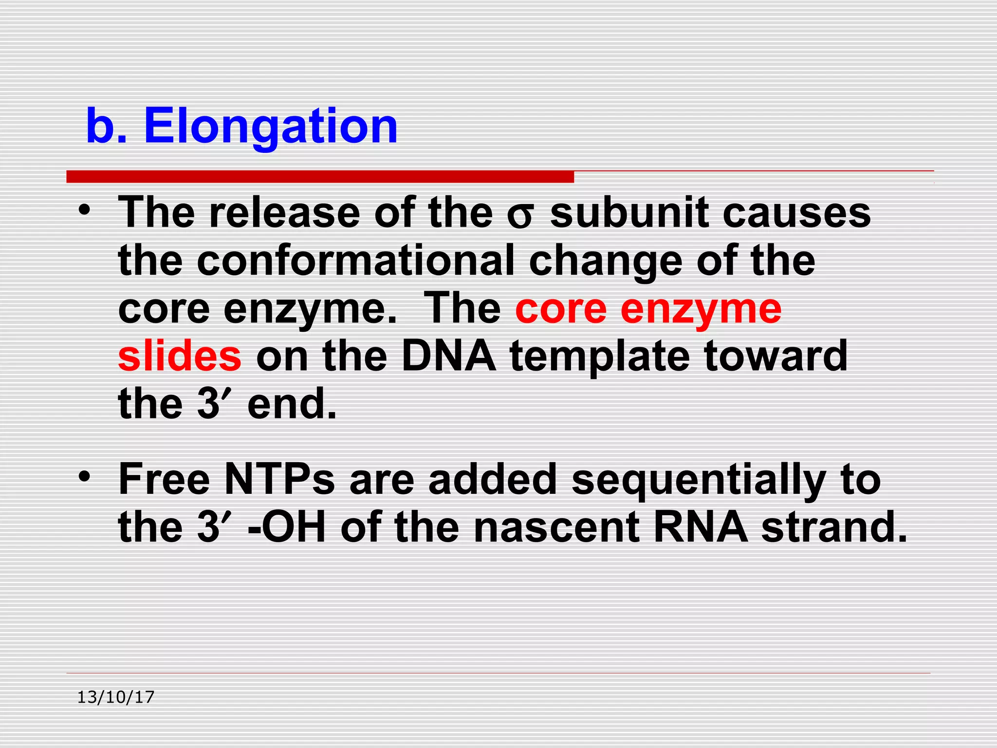 Transcription, mechanism | PPT