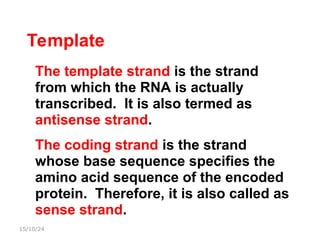 transcription mechanism and machinery involved in mRNA formation | PPT