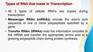 Transcription of DNA to RNA full description only on Slide share by ...