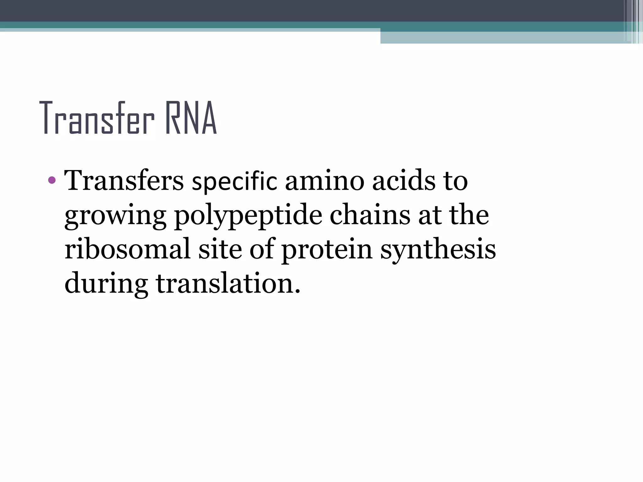 Transcription of DNA to RNA | PPT