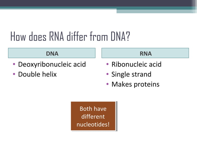 Transcription of DNA to RNA | PPT