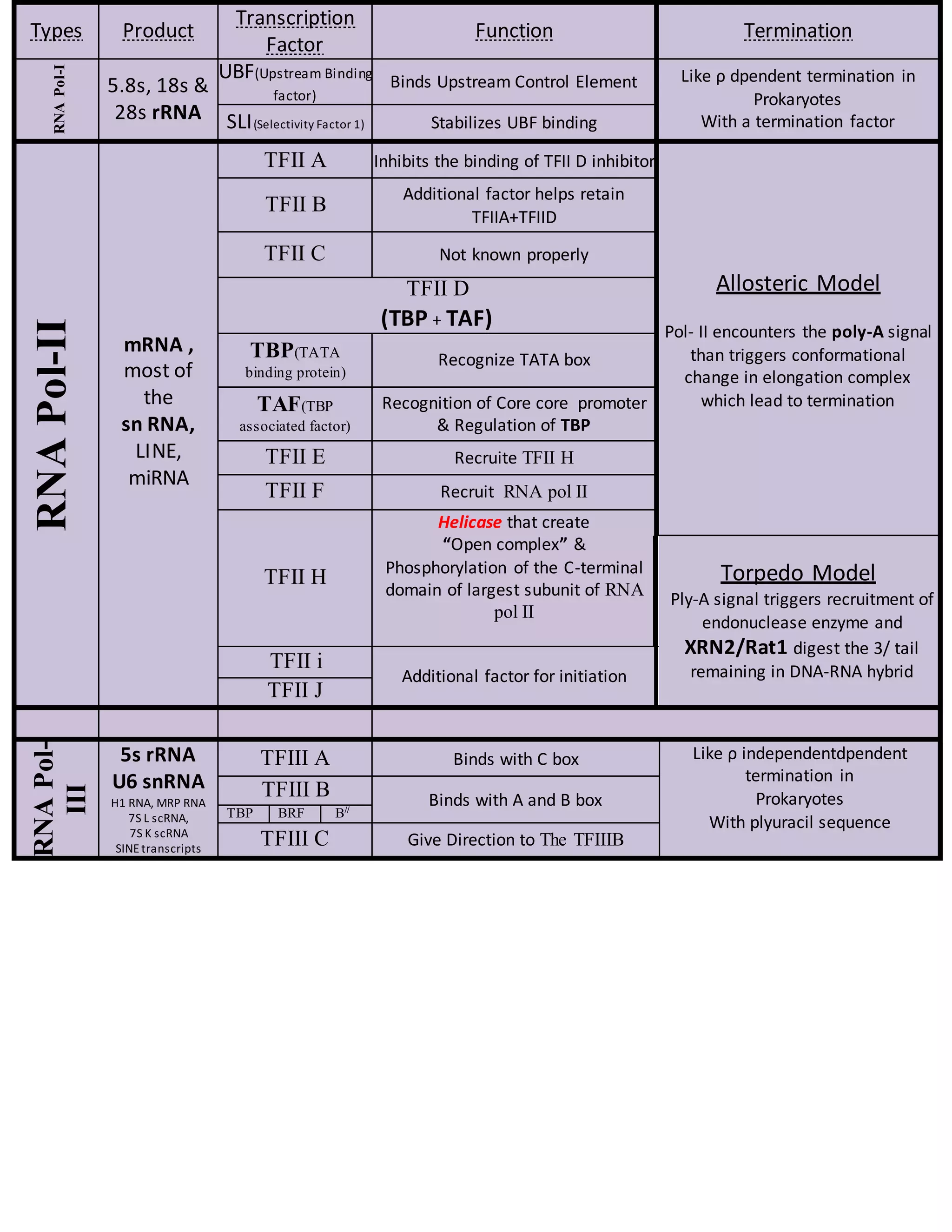 Transcription of eukaryotic gene | DOCX