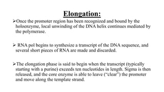 TRANSCRIPTION OF PROKARYOT MOLECULARES.pptx
