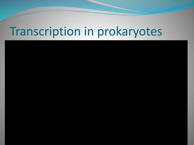 Transcription ppt | PPT