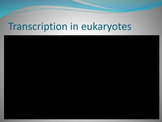 Transcription ppt | PPT | Free Download