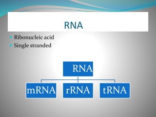 Transcription ppt | PPT