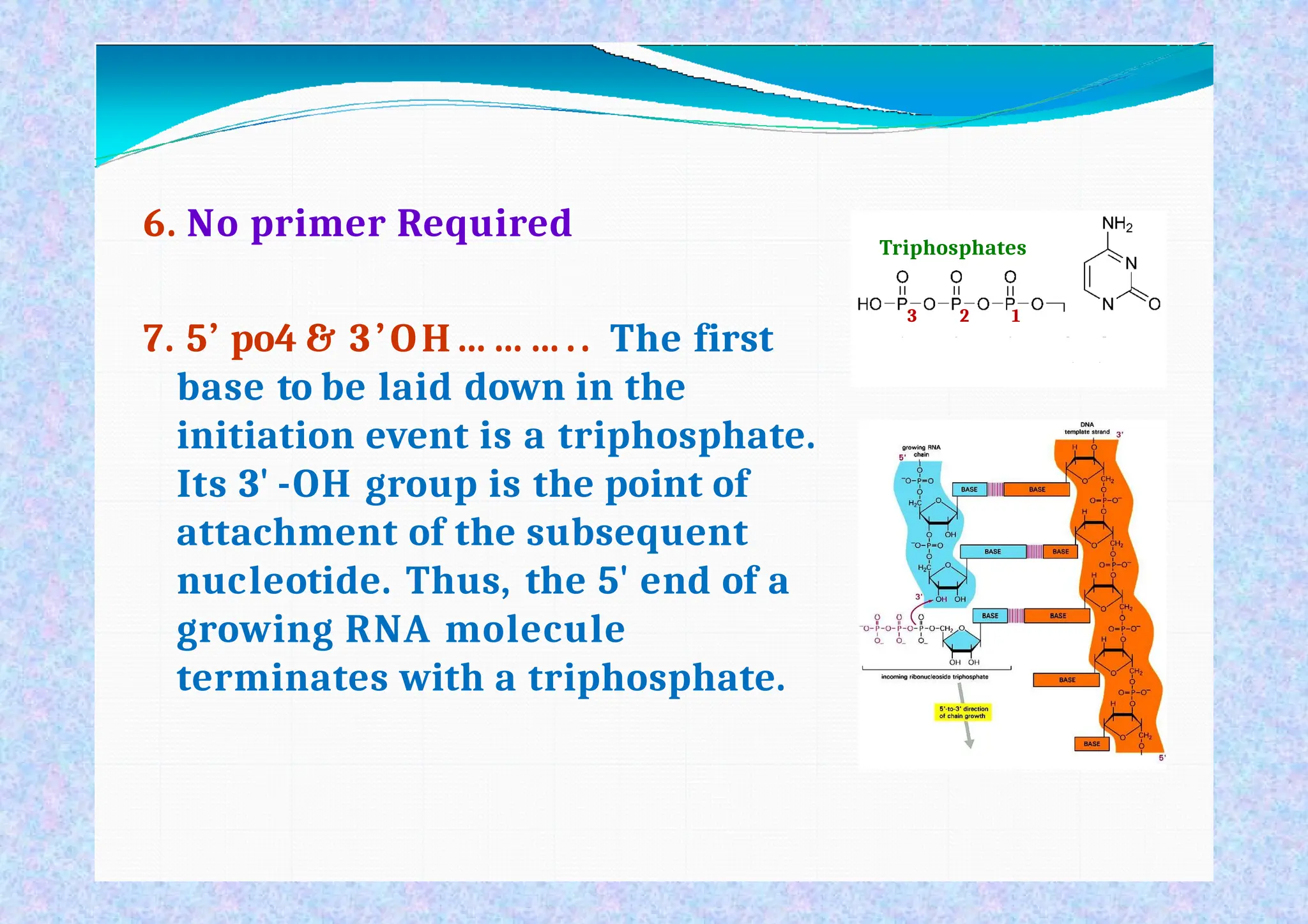 Transcription is the process of copying a segment of DNA into RNA. The ...