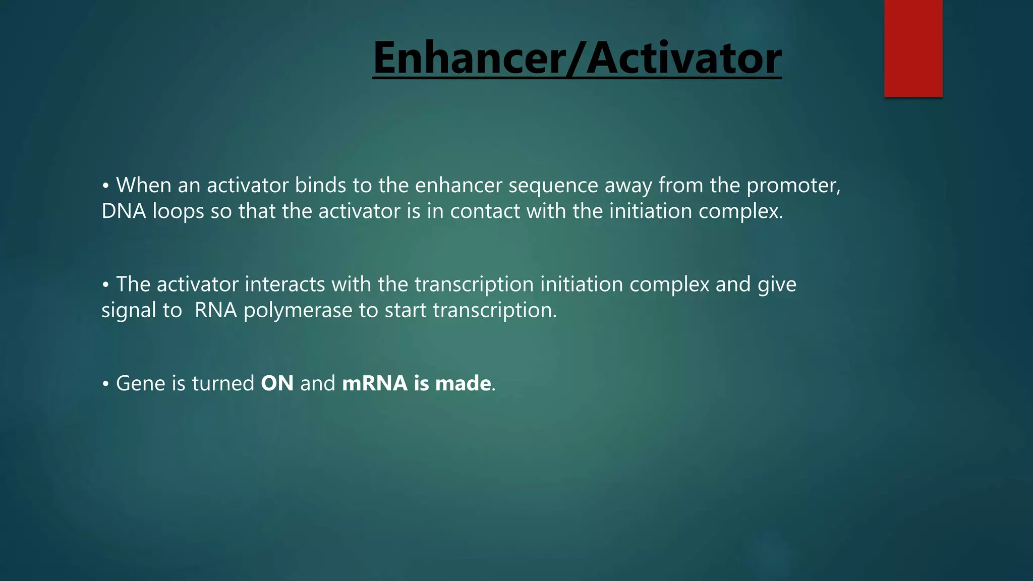 Transcription presentation | PPTX