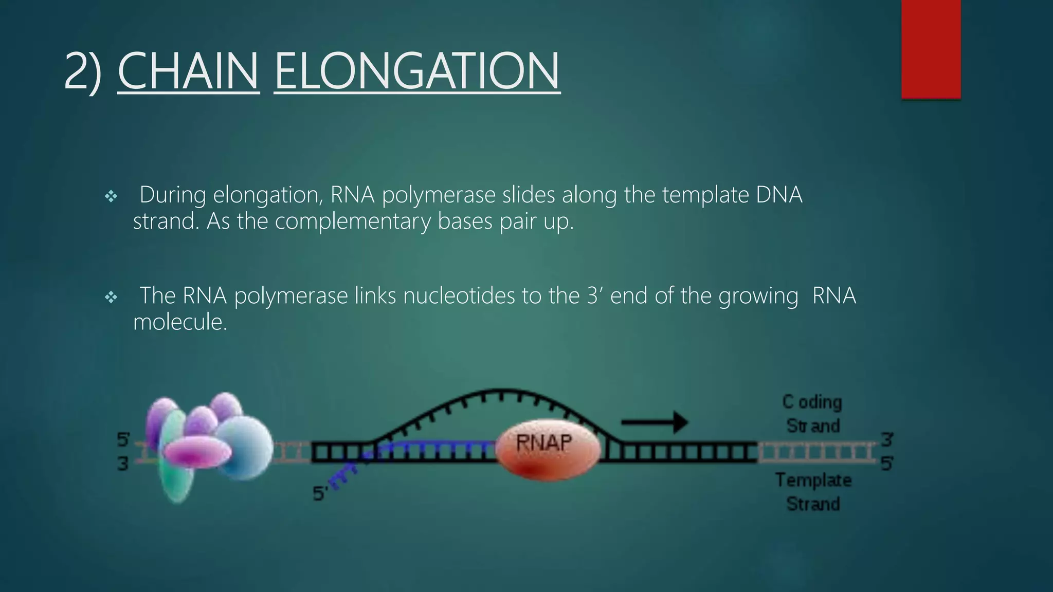 Transcription presentation | PPTX