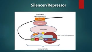 Transcription presentation | PPTX